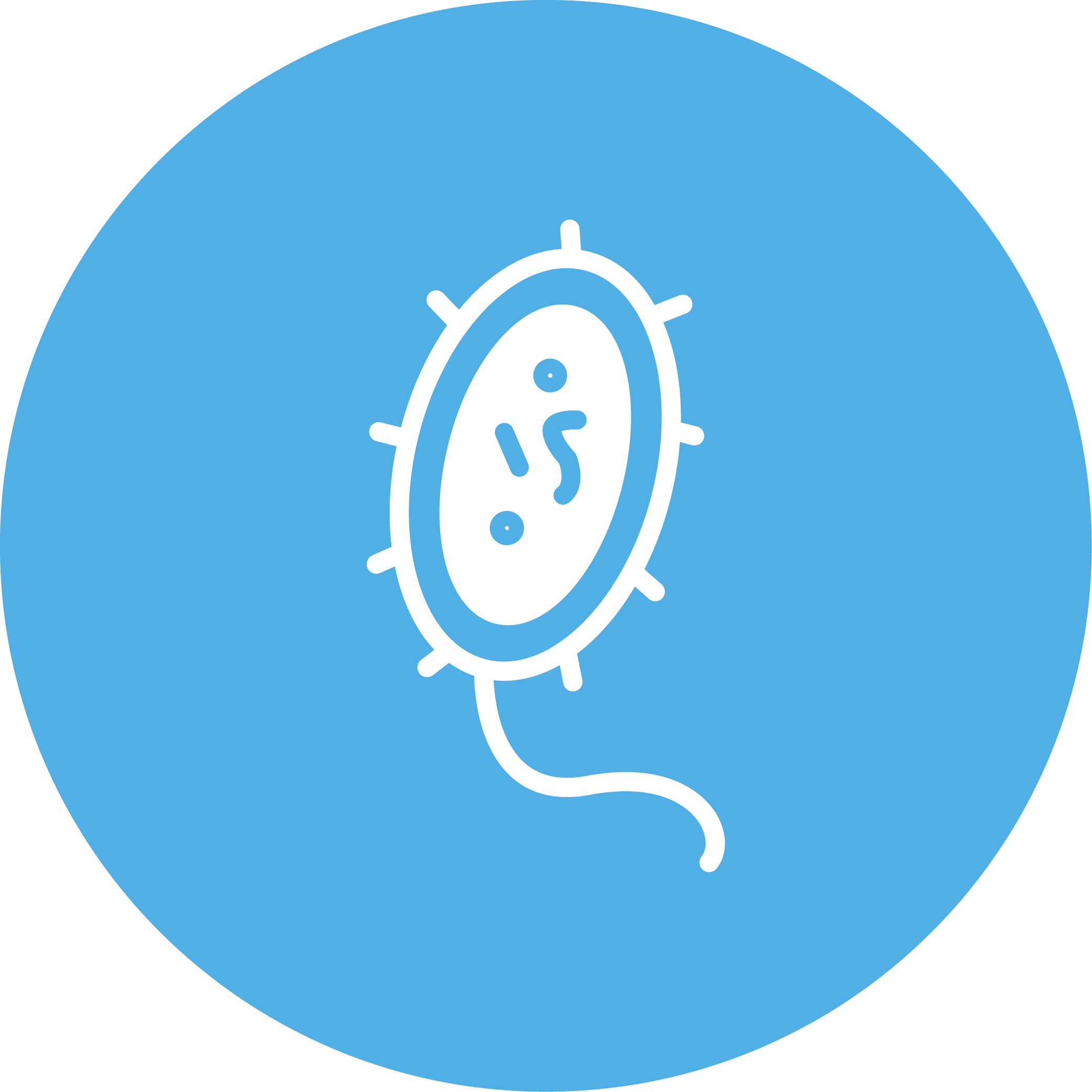 Wizapp: Connect, Meet People, and Join 1000+ Global Activities